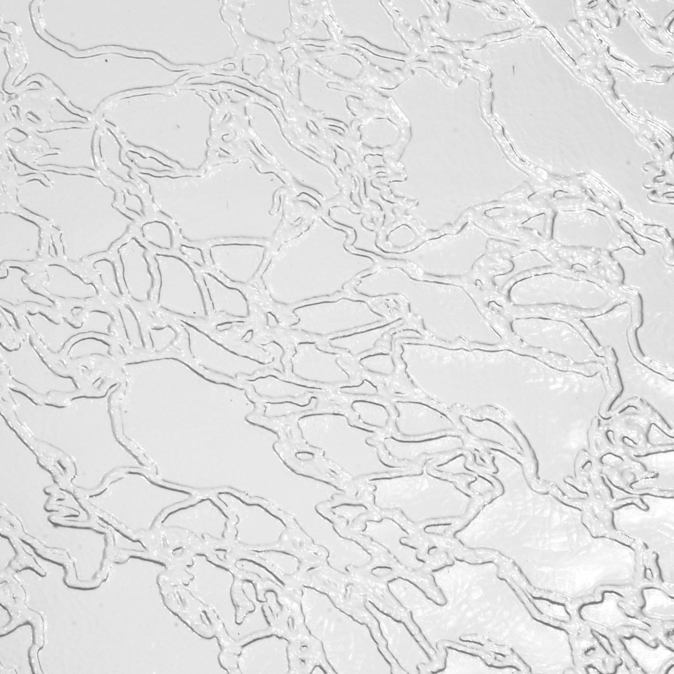 Boiseries Raymond - Glass Selection